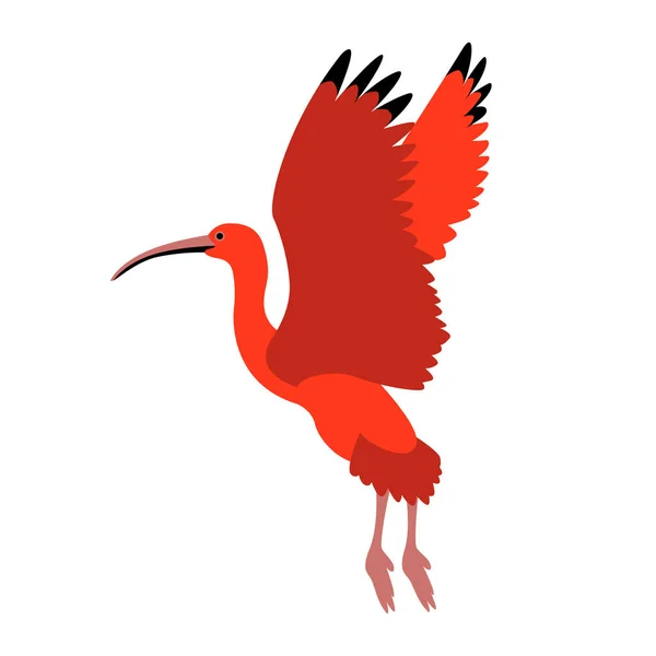 56 Scarlet ibis Vector Images | Depositphotos