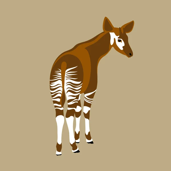 Okapi Vector Art Stock Images | Depositphotos