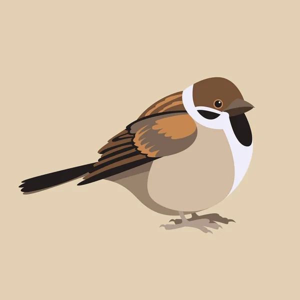 Bird animation Vector Art Stock Images | Depositphotos