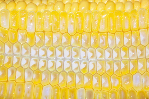 Corn cells Images - Search Images on Everypixel