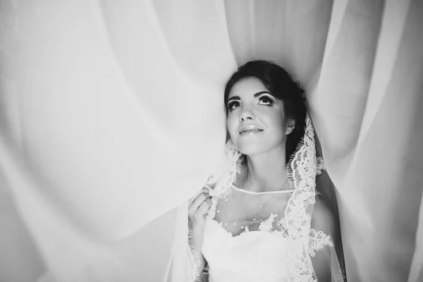 Bride israel Stock Photos, Royalty Free Bride israel Images | Depositphotos