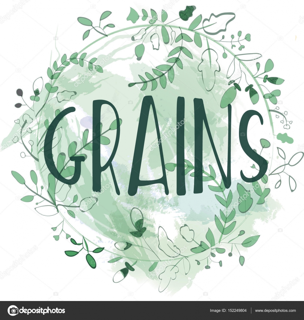Logo para Granos Vector de stock #152249804 de ©immanuel_stashevsky