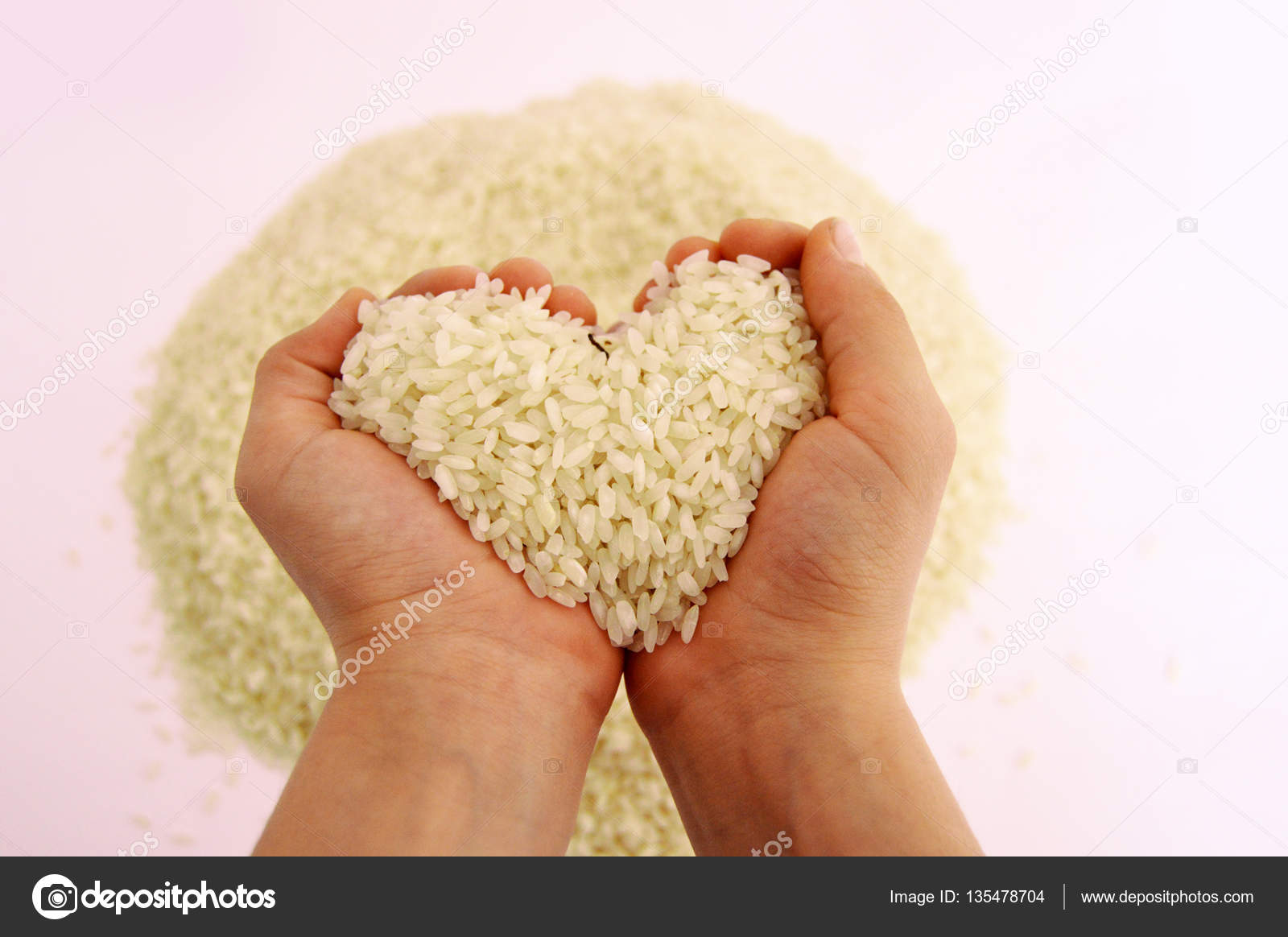 Baldo big rice pictures on the most beautiful and best white background ...