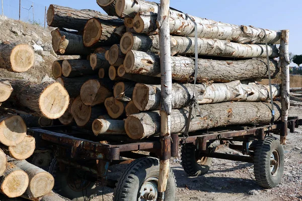 Indian timber demand Stock Photos, Royalty Free Indian timber demand ...