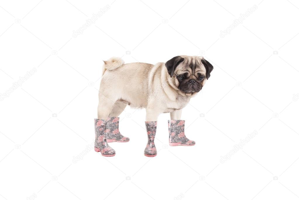 Get array length in pug template - sosfinders Get array length in pug template - sosfinders