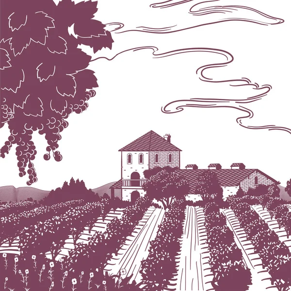 Vineyard line art Vector Art Stock Images | Depositphotos