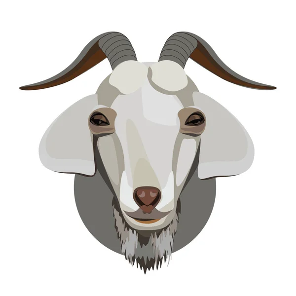 20,834,084 Goat head Vector Images | Depositphotos