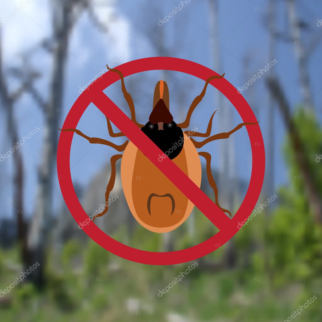 Warning Symbol parasite sign. Spider mites. Red mite. Epidemic. Mite ...