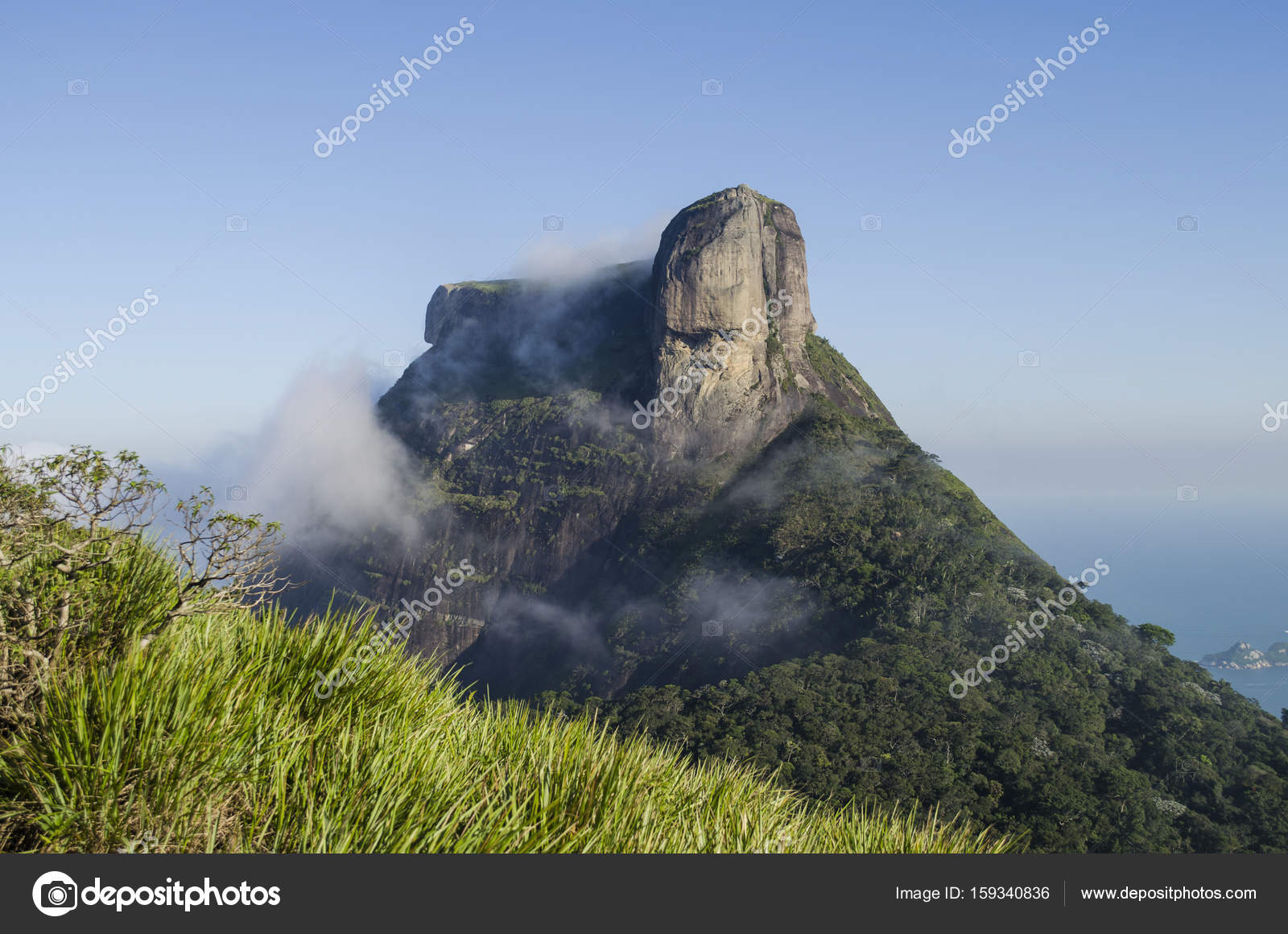 Pedra Bonita Trail, Rio de Janeiro — Stock Photo © vitormarigo #159340836