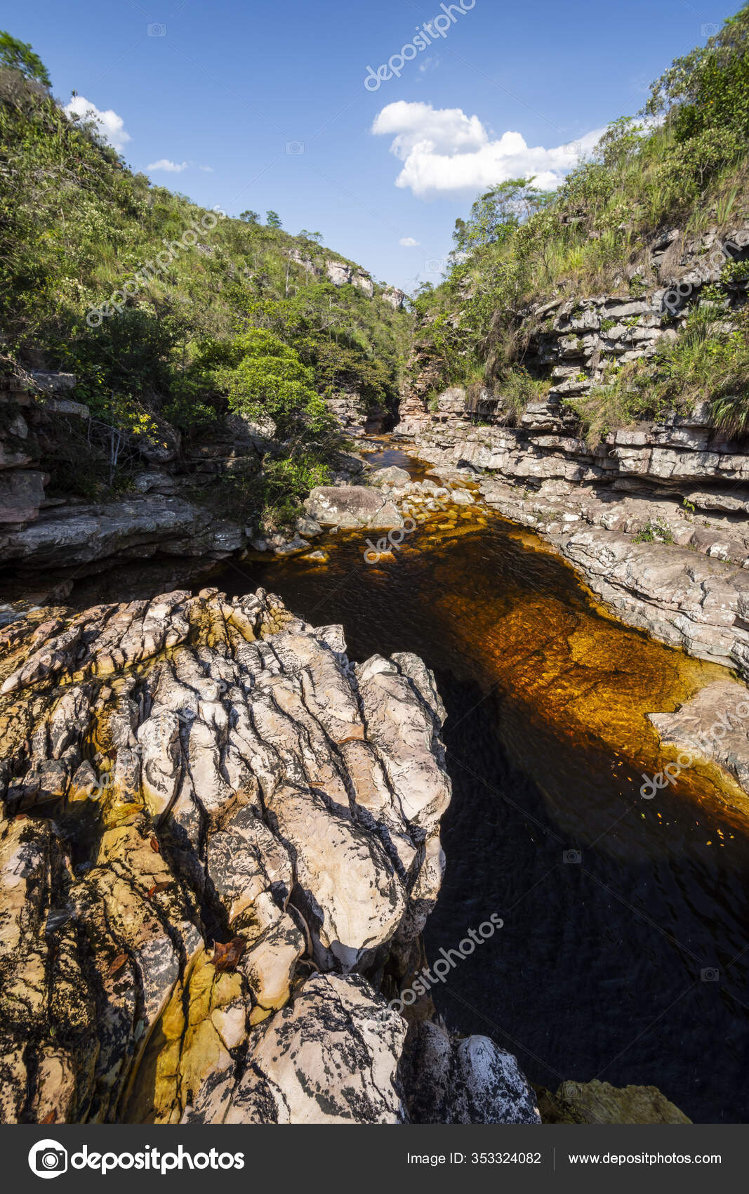 Beautiful Natural River Dark Water Cerrado Landscape Chapada Diamantina ...