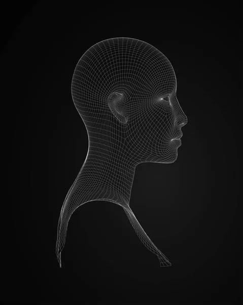 3d head wireframe vector. Drawing of wireframe head 3d model. Vector ...