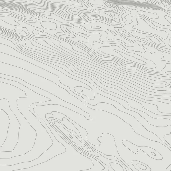 Topographic Map — Stock Vector © Elymas #53309145