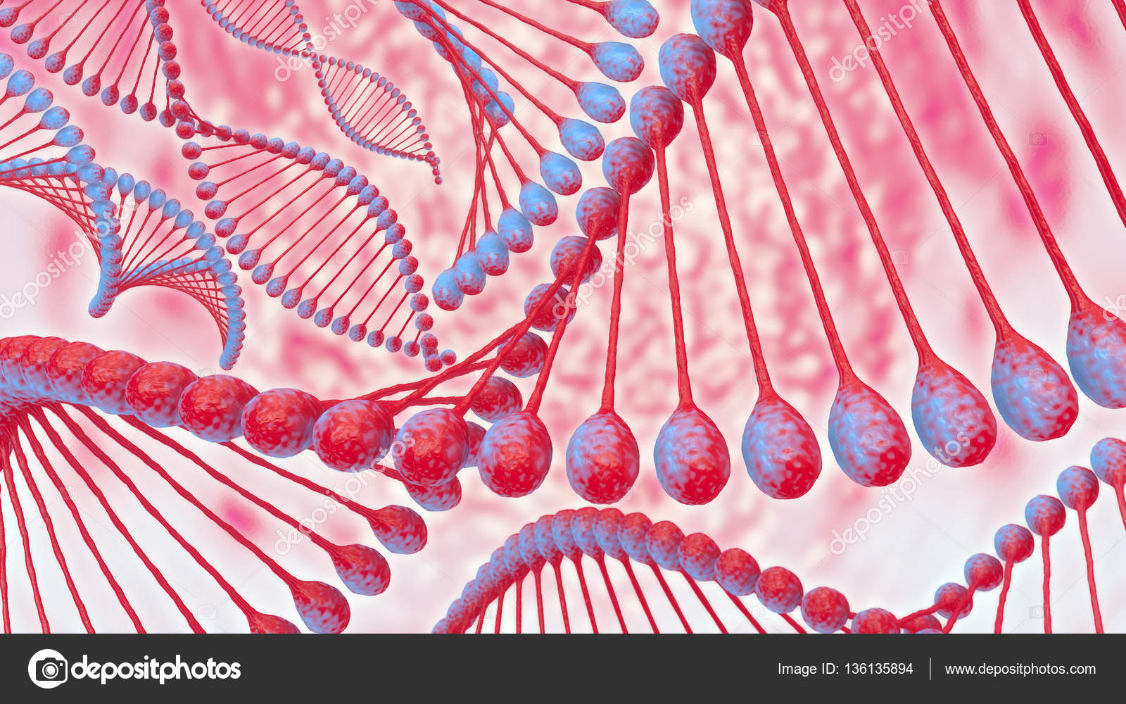3D DNA sequencing realistic Stock Photo by ©onxajans@gmail.com 136135894