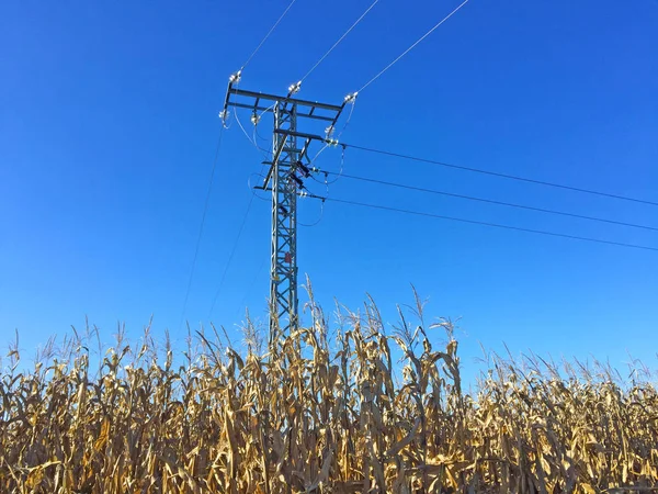 Fall arresters Stock Photos, Royalty Free Fall arresters Images ...