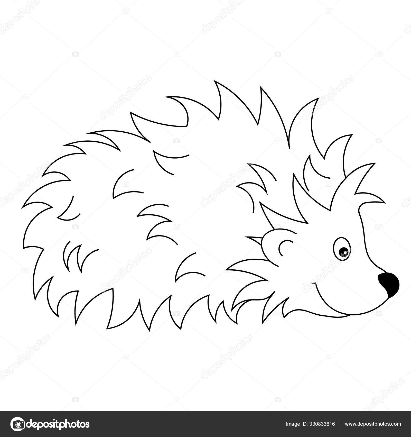 Hedgehog Outline