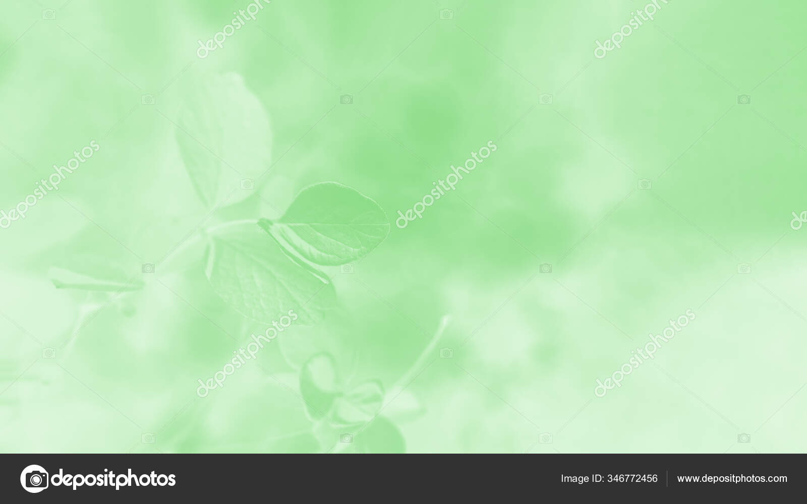 Light Green Leaf Pattern