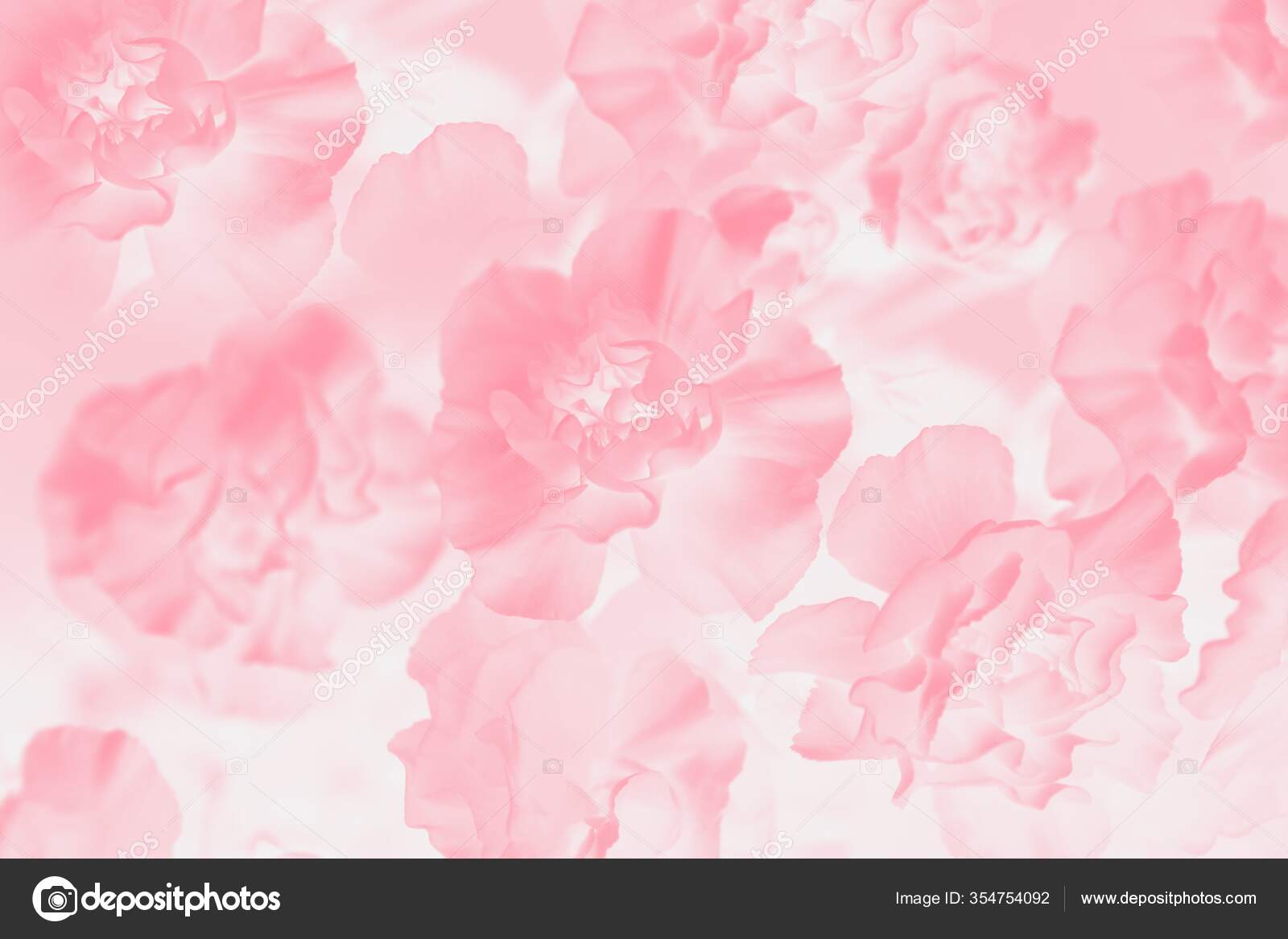 Light Pink Floral Pattern