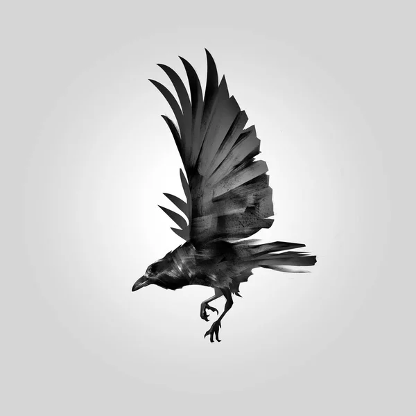 painted crow attacking a bird on a white background — Stock Photo ...