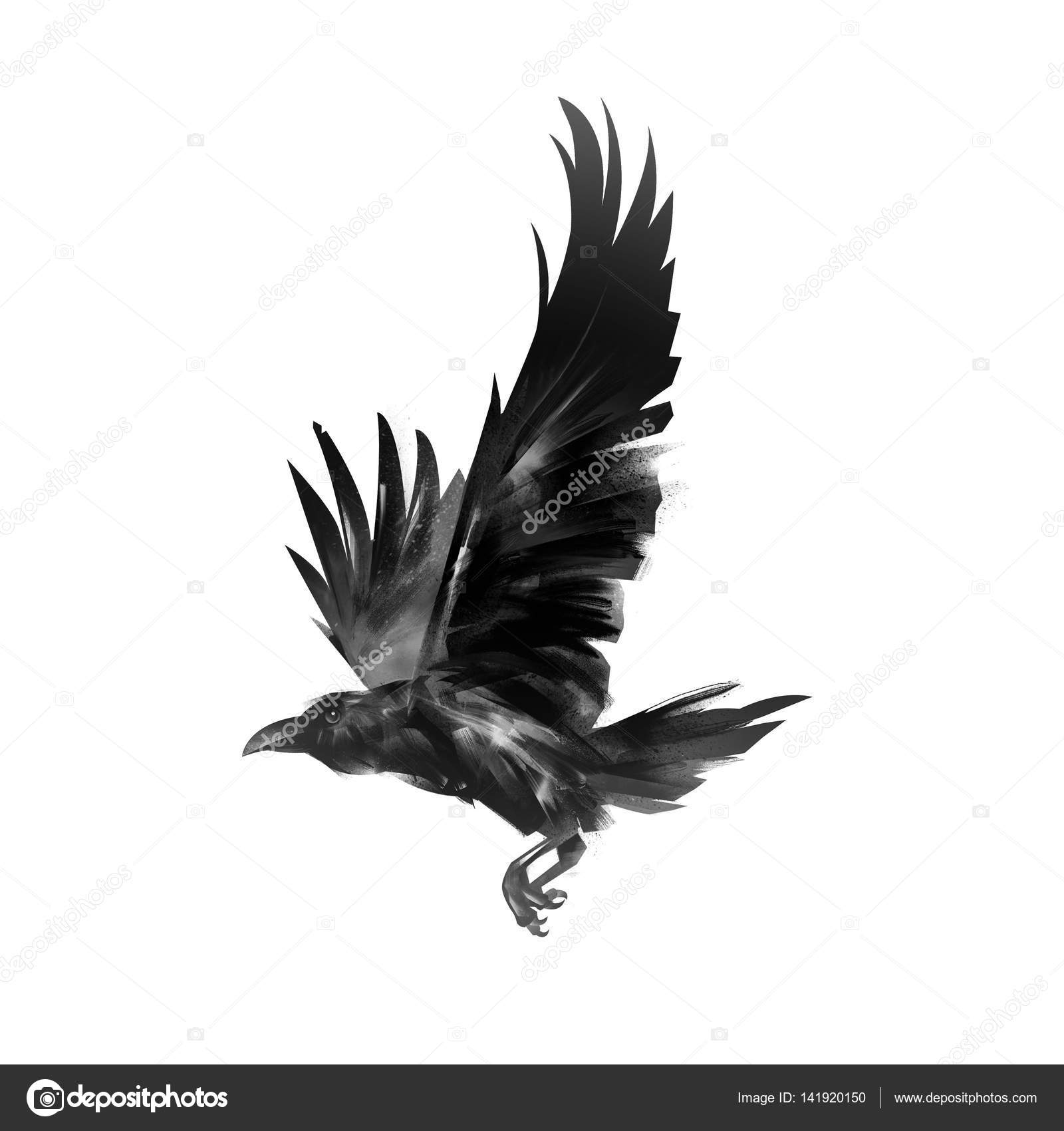Picture isolated flying black crow — Stock Photo © khius #141920150