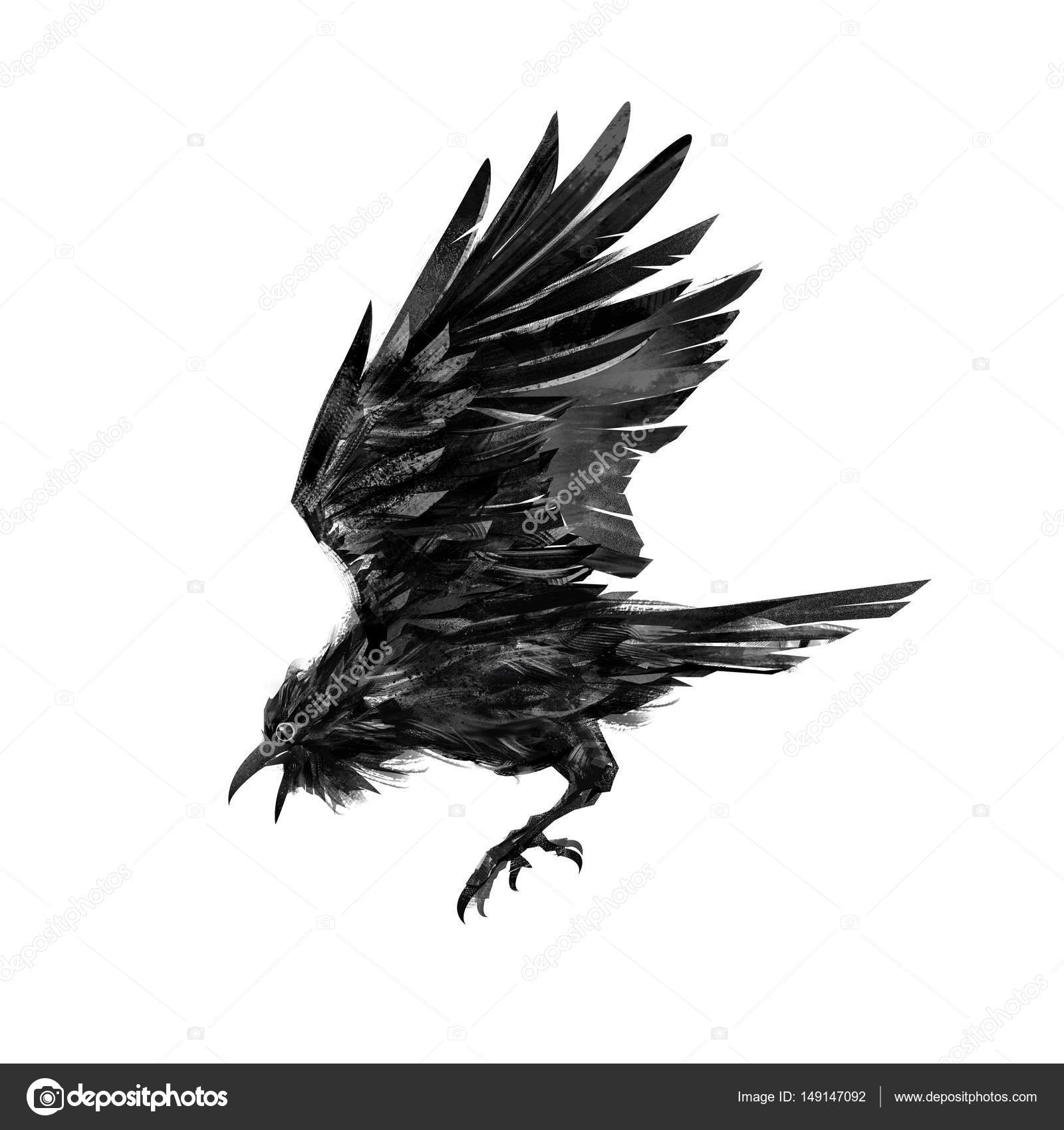 Ravens Birds Flying Art