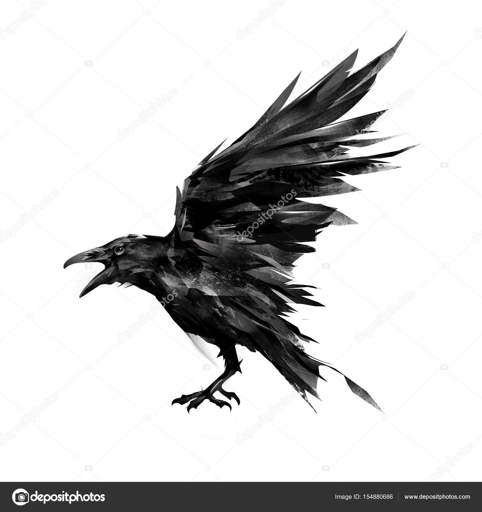 Drawn flying bird raven on white background Stock Photo by ©khius 154880686