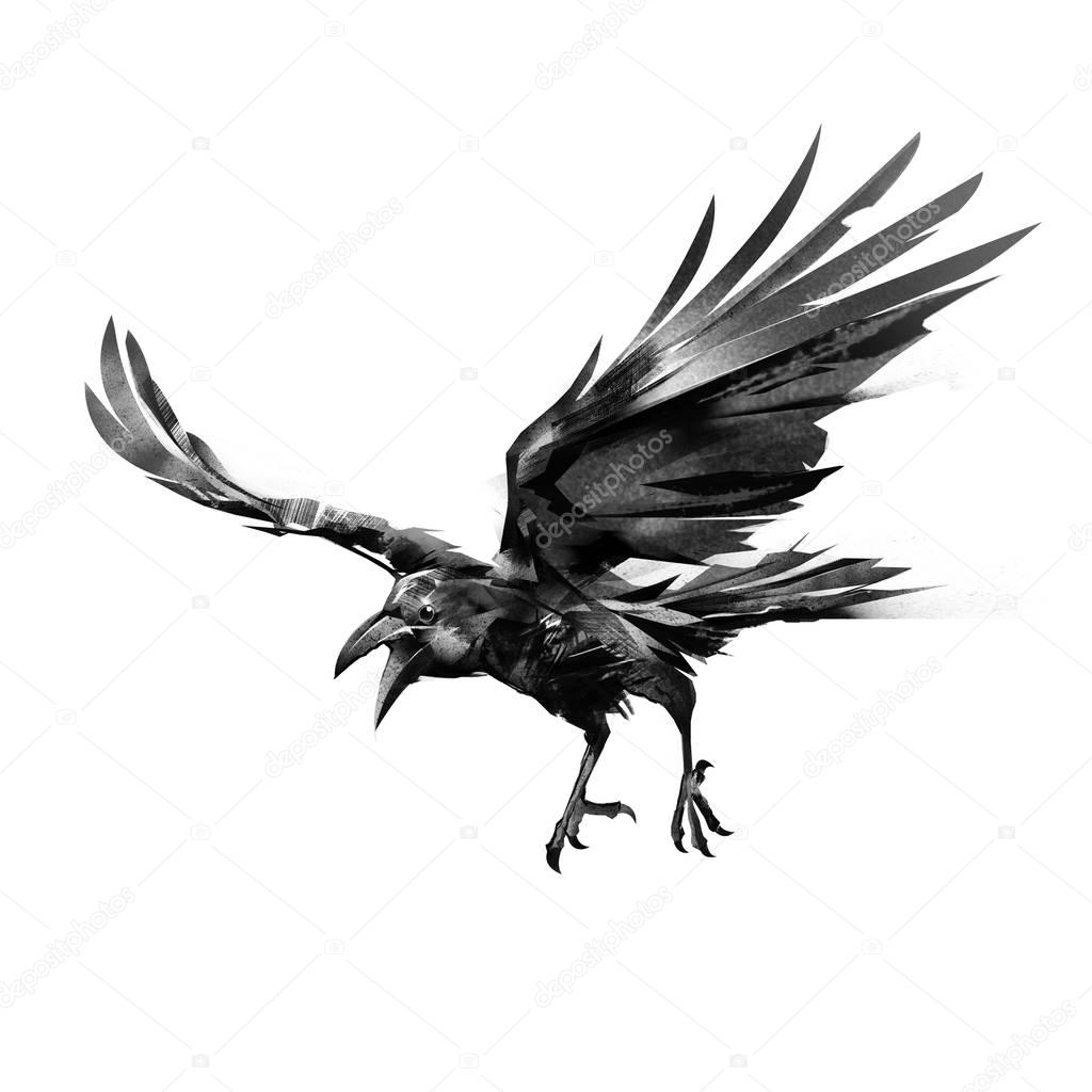 Drawn flying crow on white background — Stock Photo © khius #156442772