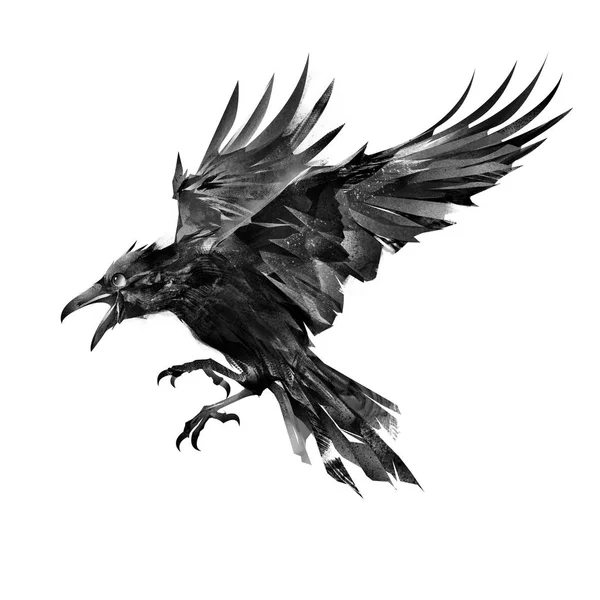 Crow flying Stock Photos, Royalty Free Crow flying Images | Depositphotos