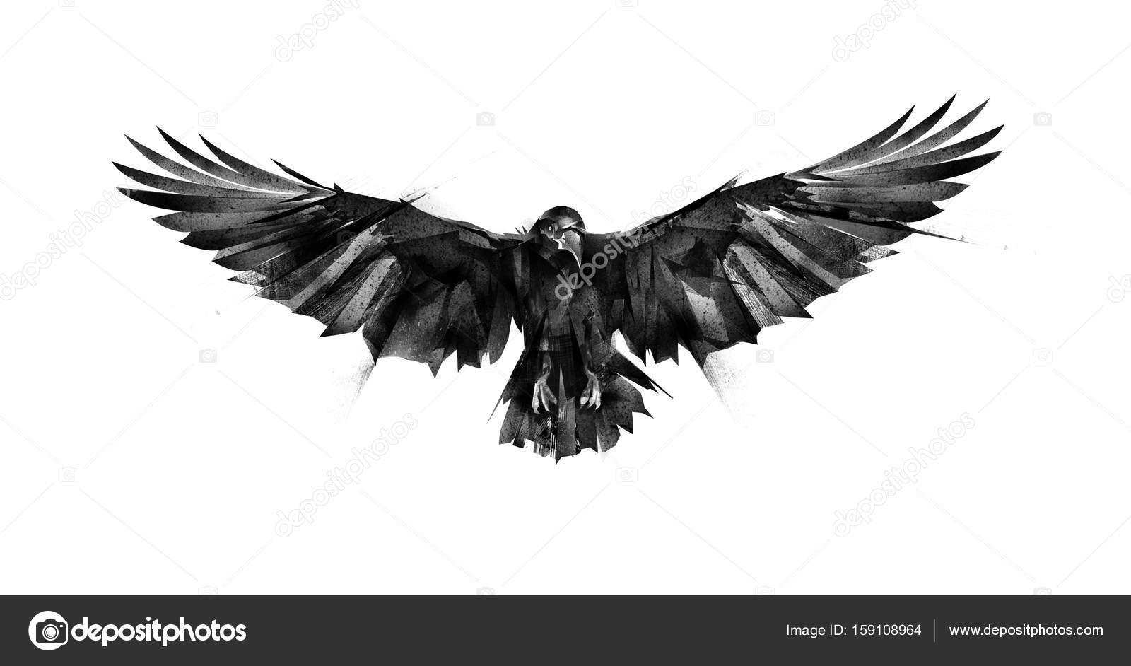 Raben Fliegende Skizze