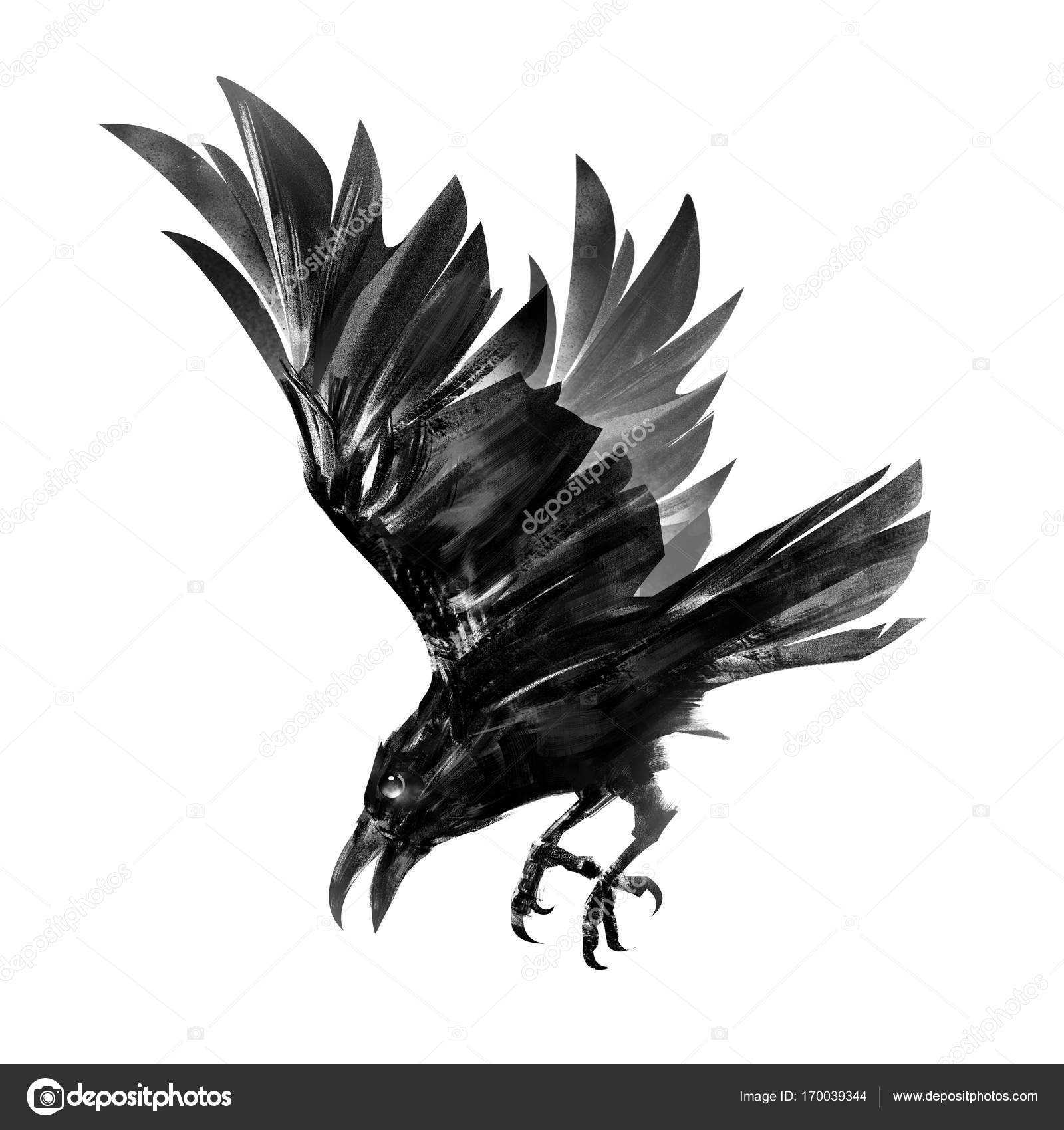 Evil Flying Crow Drawing