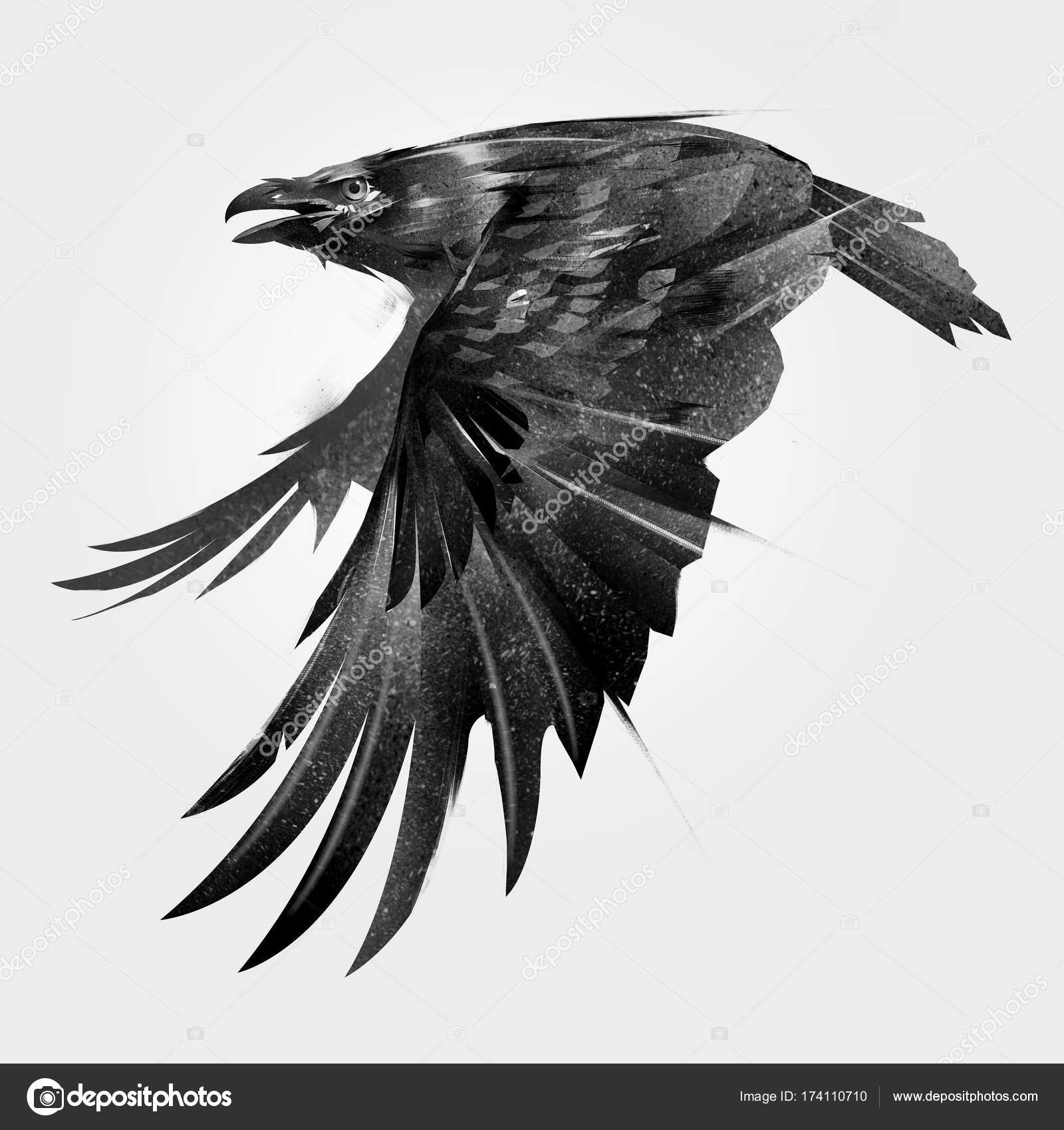 Flying Crows Front View 50,000+ Flying Crow Pictures | Download Free