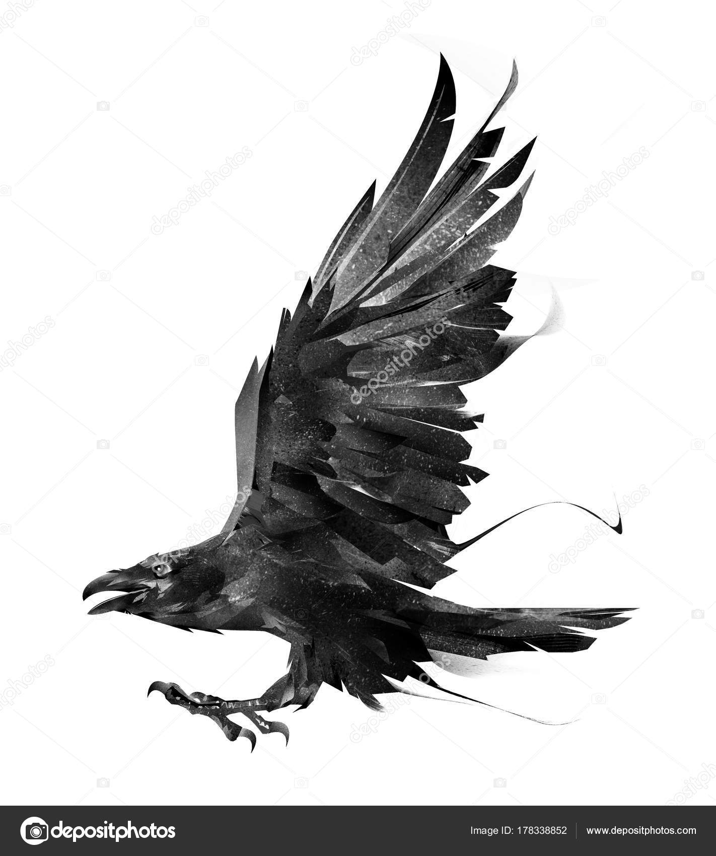 Sketch of a flying bird Raven on white background side view — Stock ...