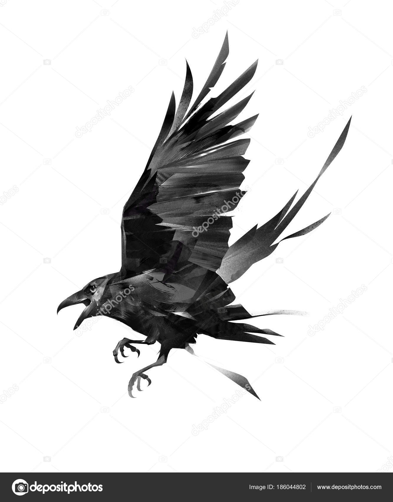 Raben Fliegende Skizze