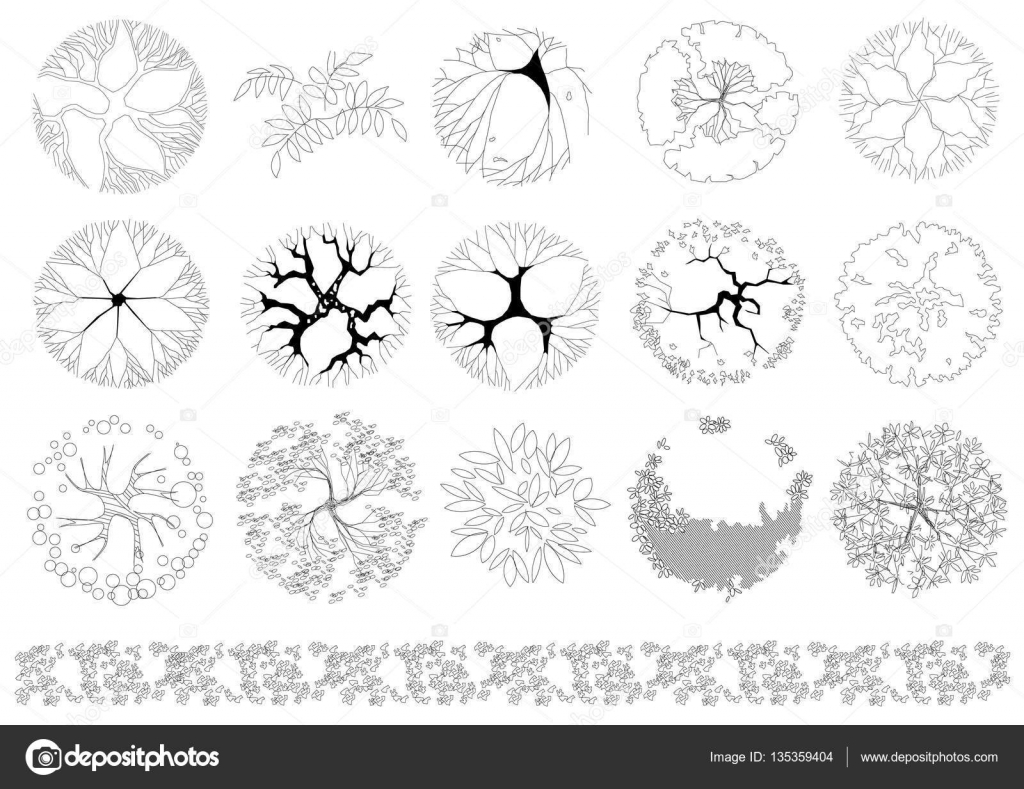Tree Top View Silhouette