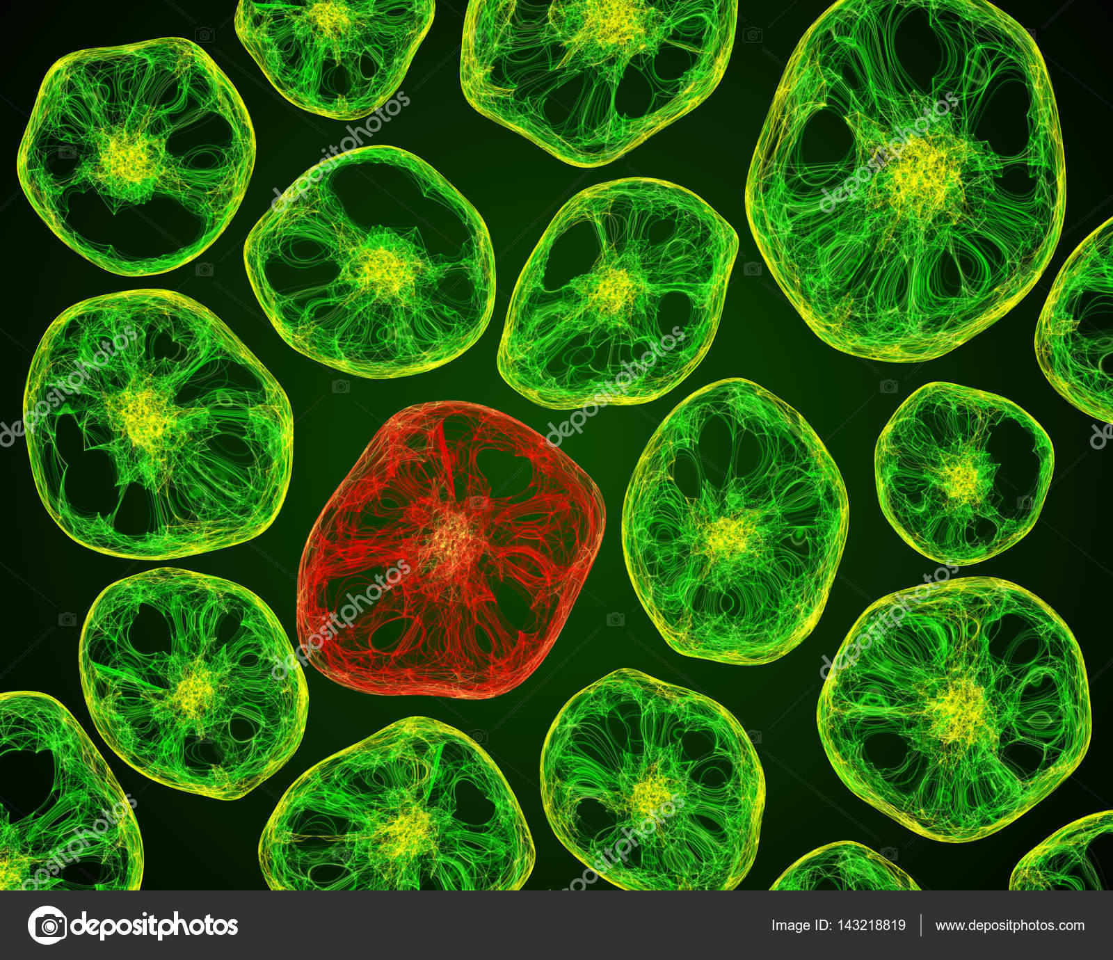 Bacterial Cell Under Light Microscope