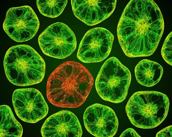 Life under the microscope of cells — Stock Photo © ocean-fo@yandex.ru ...
