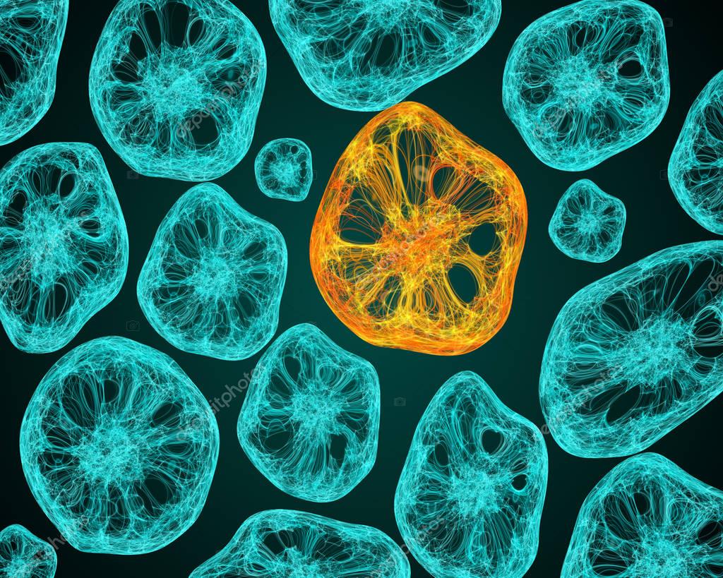 Cellule Al Microscopio Divisione Delle Cellule Staminali Embrionali