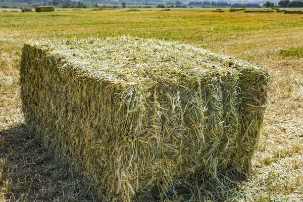 Straw slab Stock Photos, Royalty Free Straw slab Images | Depositphotos