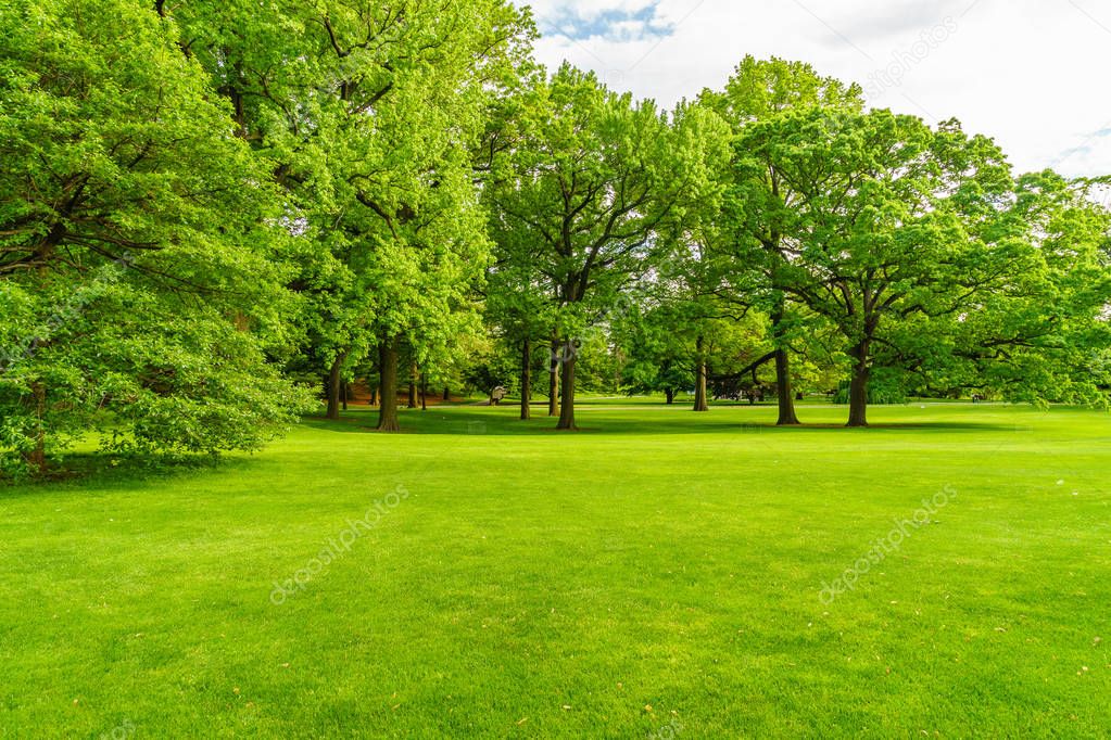 Jard n Bot nico de Nueva York 2024