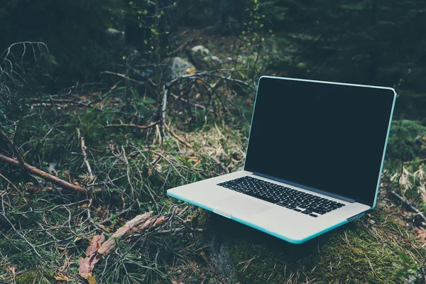 Freelancer laptop computer lost in the forest glade, amid the gr ...