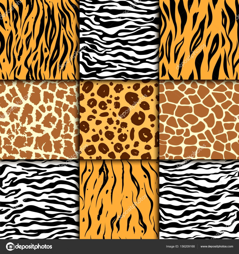 Colorful Animal Print Patterns