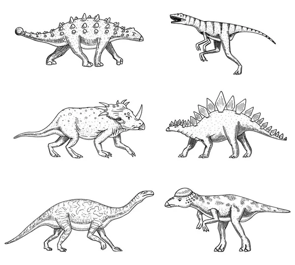 Dinosaurs set, Tyrannosaurus rex, Triceratops, Barosaurus, Diplodocus ...