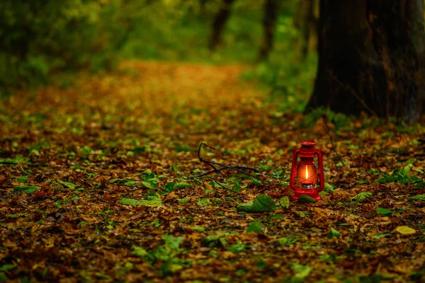 Glowing lantern in the forest Stock Photos, Royalty Free Glowing ...
