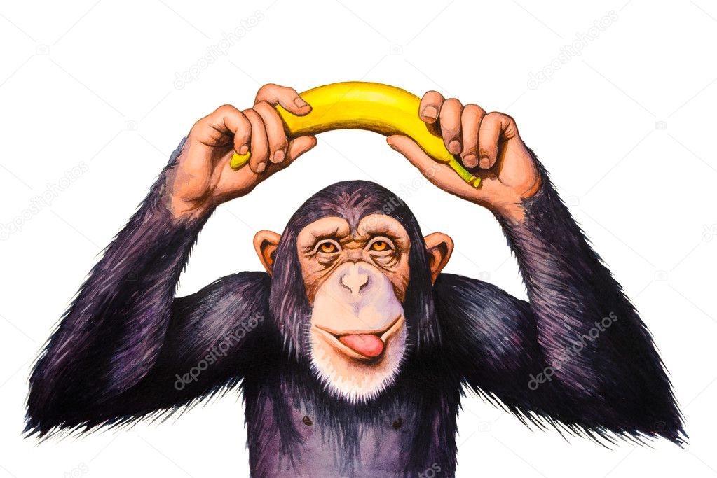 Monkey holding banana hands over his head. — Stock Photo © artkamalov ...