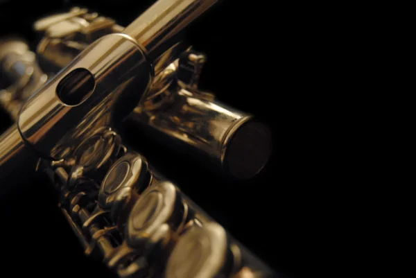 Classical traverse flute - Stock Image - Everypixel