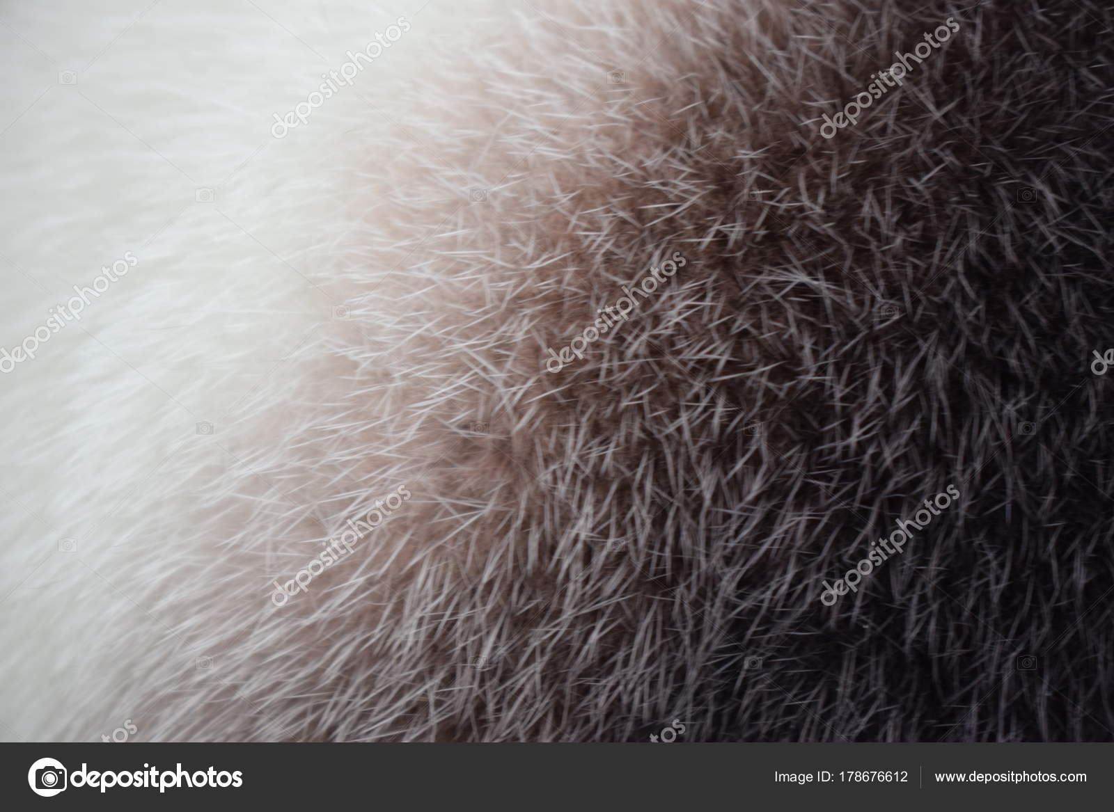 Mink Fur Fur Texture Light Beige Color Close Background Brown — Stock ...
