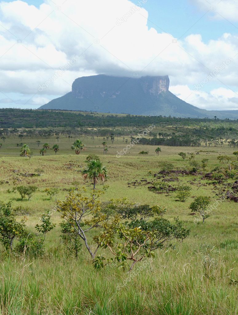 Kuravaina tepui in Canaima Stock Photo by ©patnumen 128610184