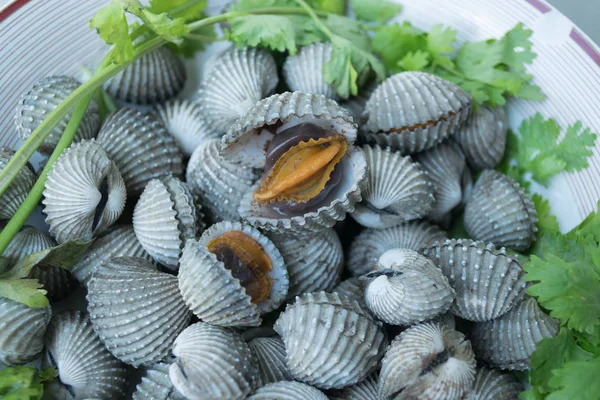 Seafood shells Stock Photos, Royalty Free Seafood shells Images ...