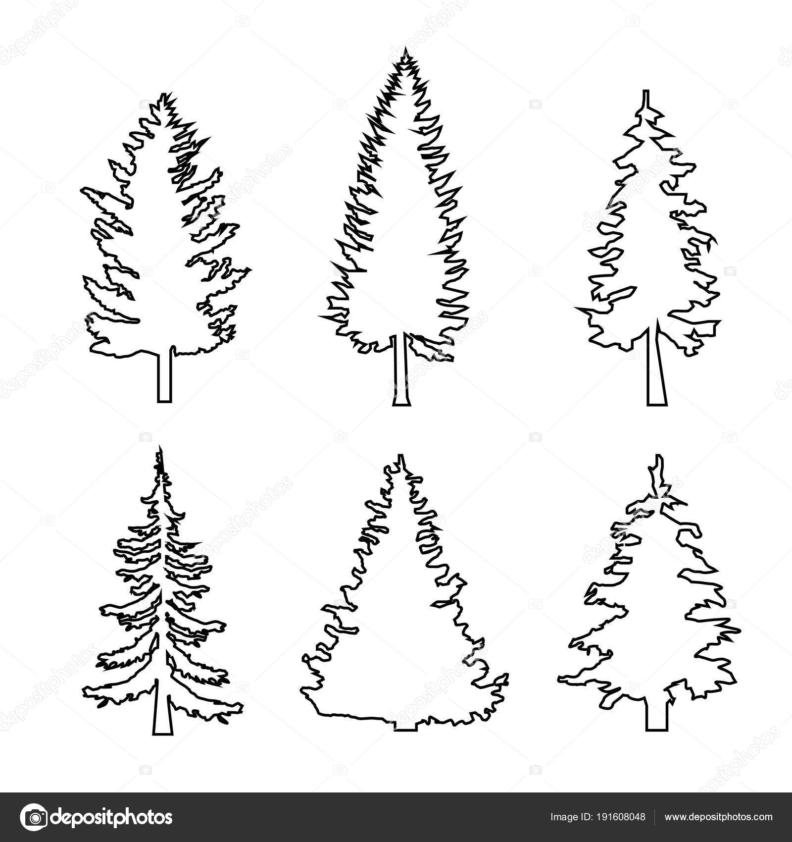 Pine Tree Line Vector
