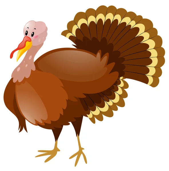 Wild turkey Vector Art Stock Images | Depositphotos