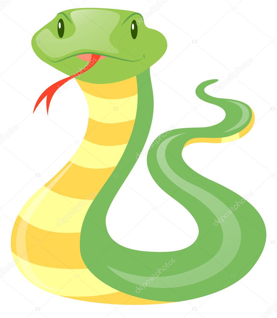 Serpiente verde sobre fondo blanco Vector de stock #128564720 de ©brgfx